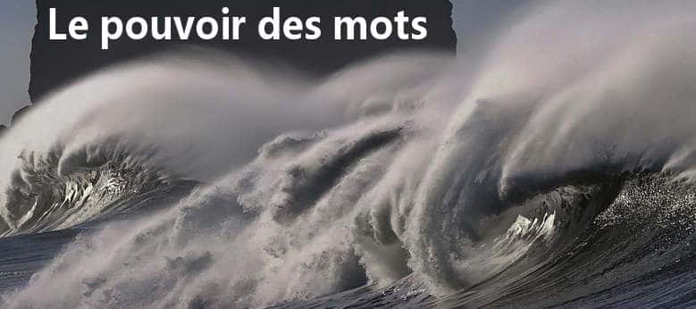 Le pouvoir des mots. La science du style